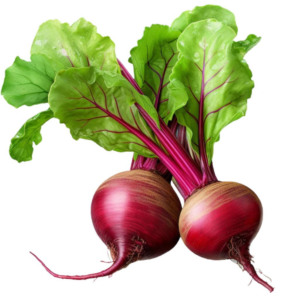 Raw Beetroot Case 10kg – Fresh Ingredients for Catering | Dunsters Farm
