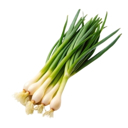 Spring Onion Case (12 Pack) – Fresh Produce for Catering | Dunsters Farm